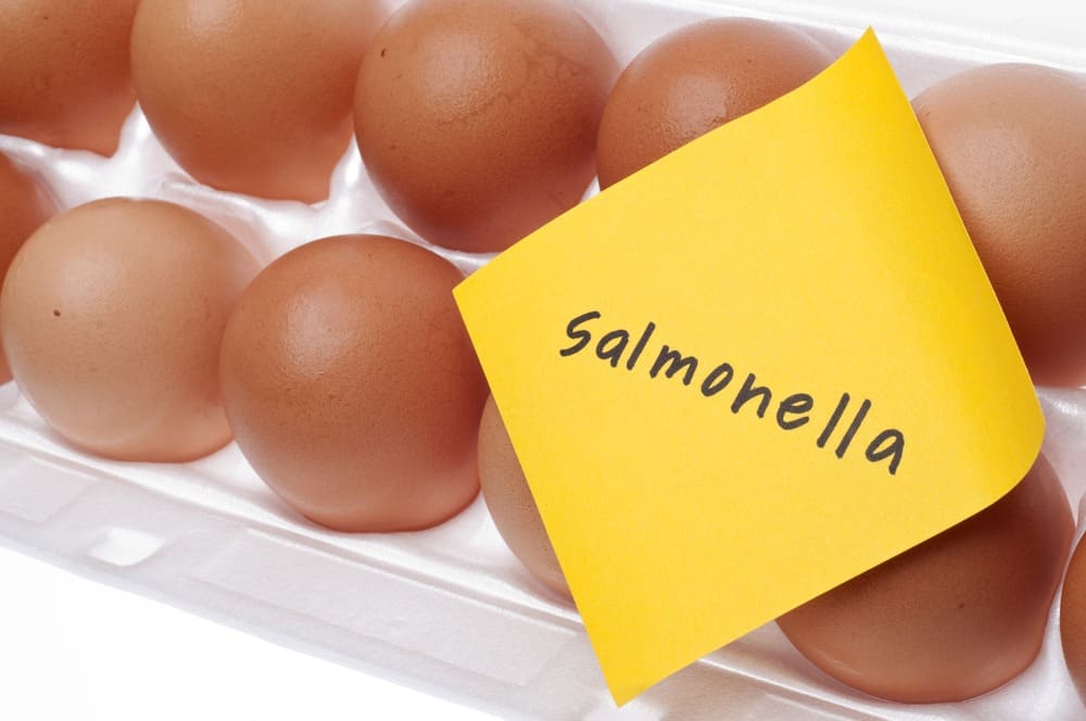 Massive Egg Recall due to Possible Salmonella Contamination in Eggs ...
