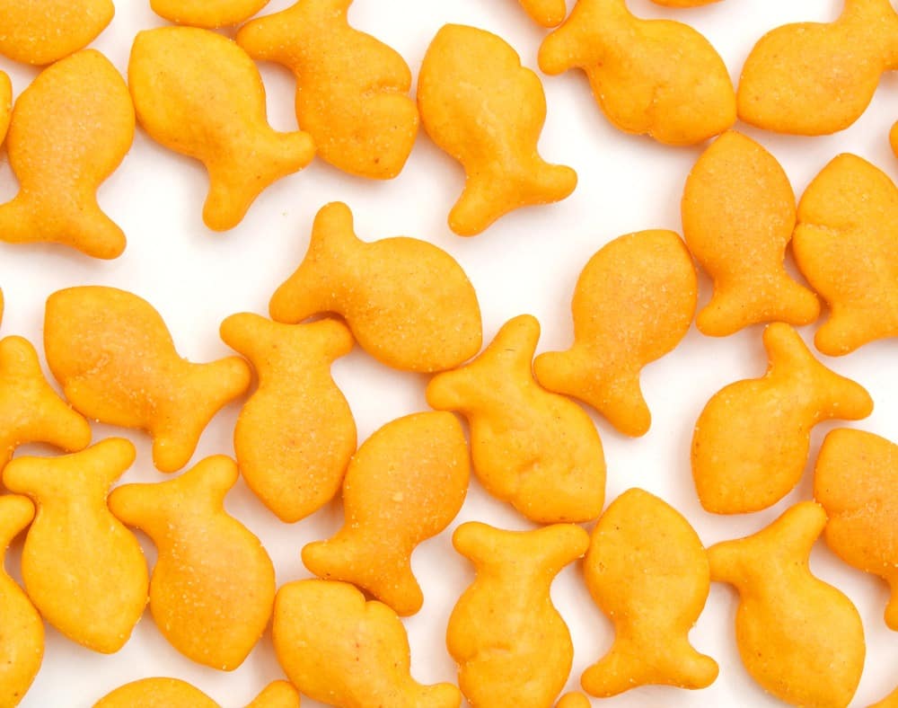 Pepperidge Farm Recalls Gold Fish Crackers due to Possible Salmonella ...
